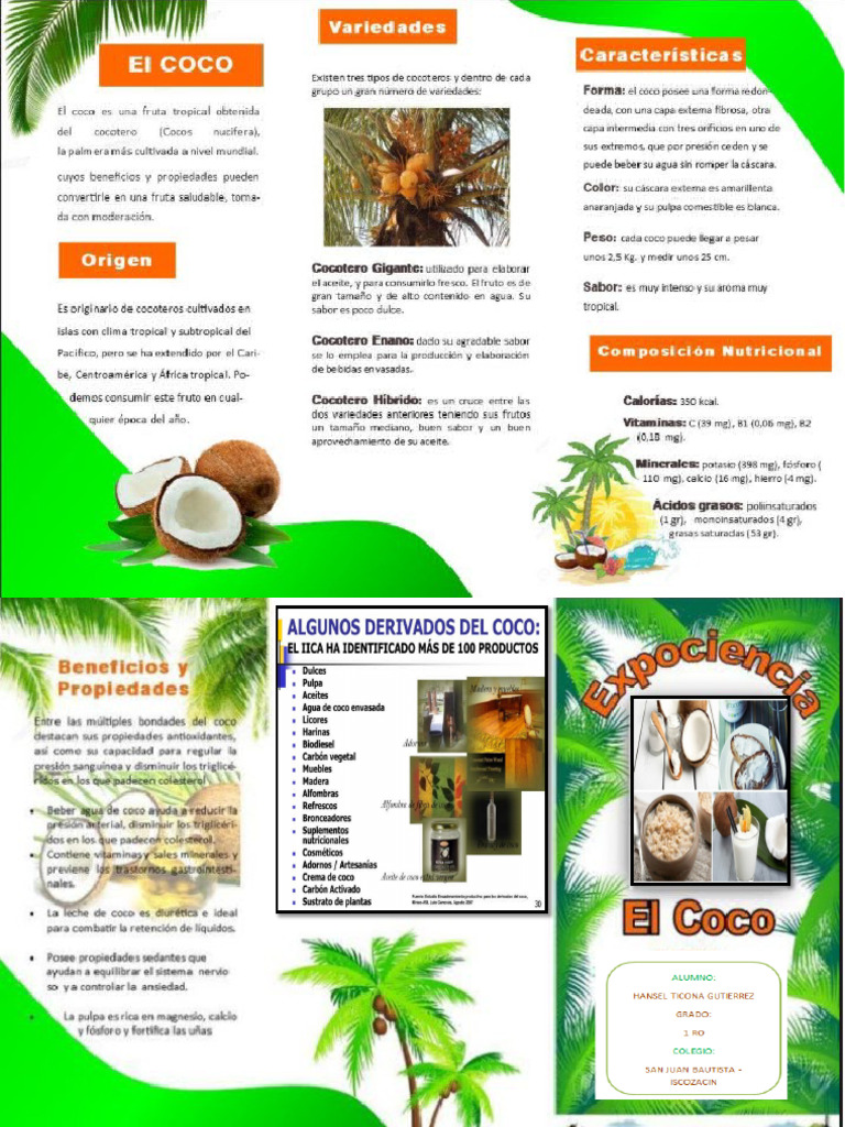 434641655 Derivados Del Coco Triptico Docx | PDF