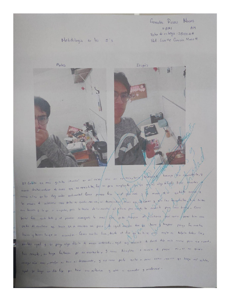 Metodologia 5S GRM | PDF