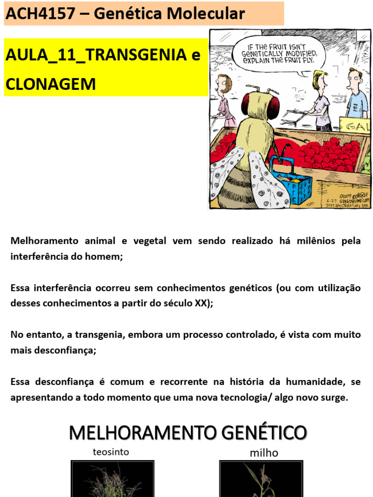 AULA - 11 - TRANSGENIA - CLONAGEM 3 Ano | PDF