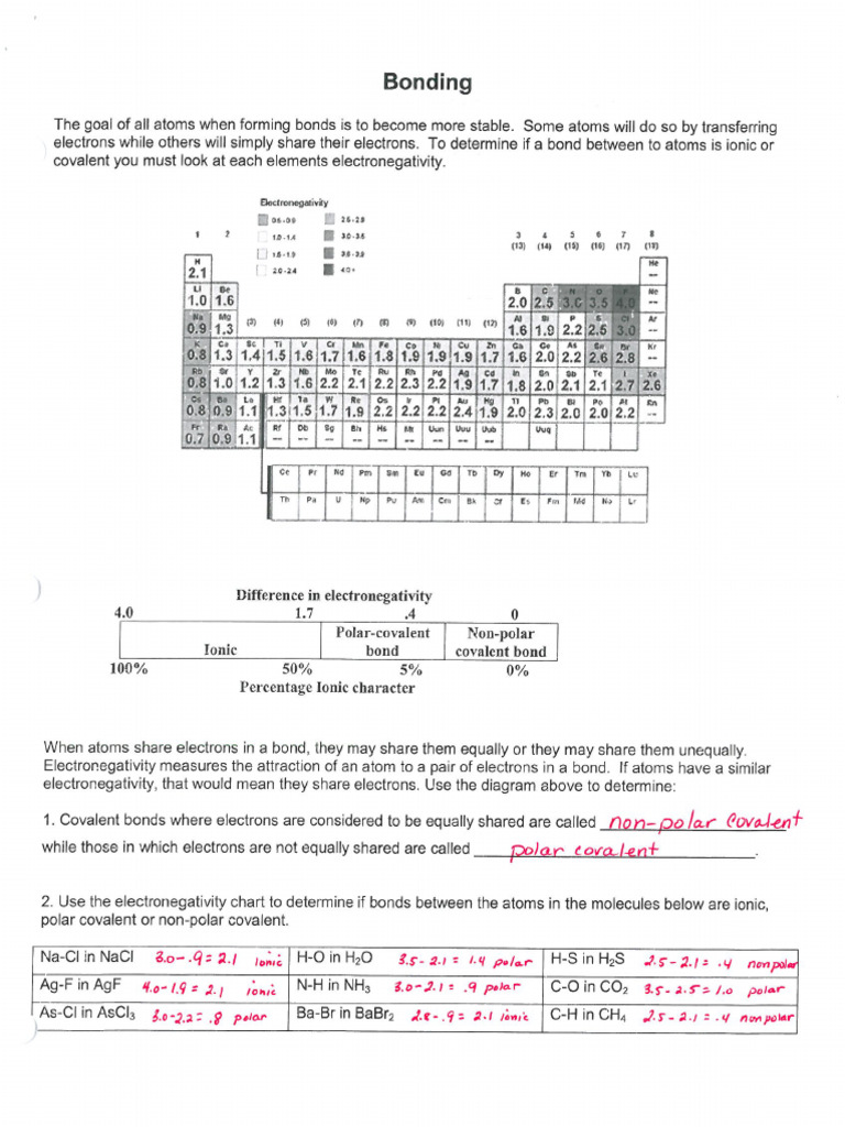 Answer Key To Self Taught Bonding | PDF