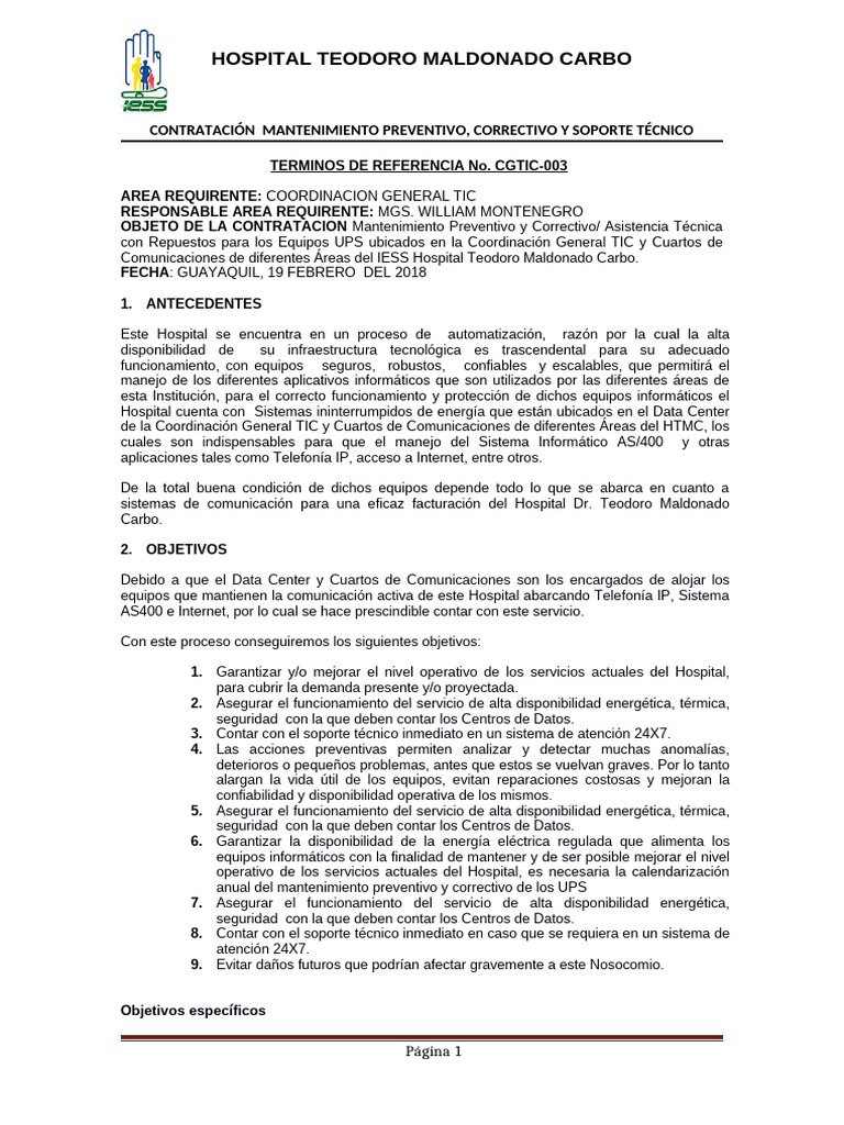 Formato TDR Servicios | PDF | Quantidades físicas