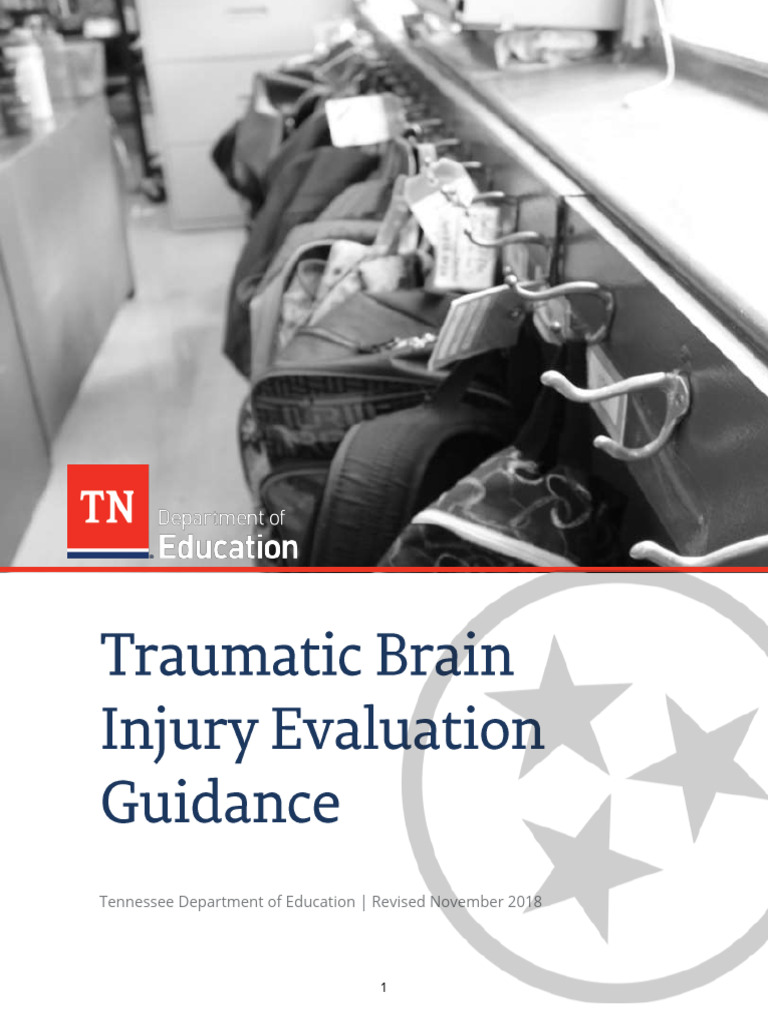 Se Traumatic Brain Injury Evaluation Guidance | PDF