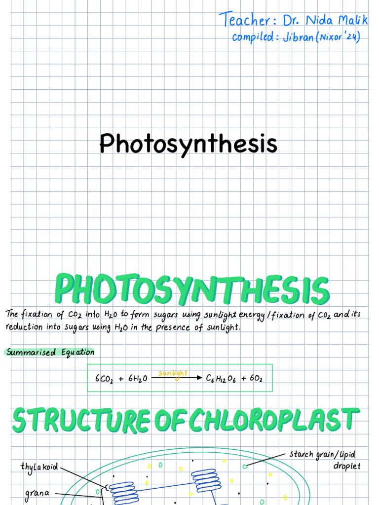 A2 Photosynthesis notes | PDF