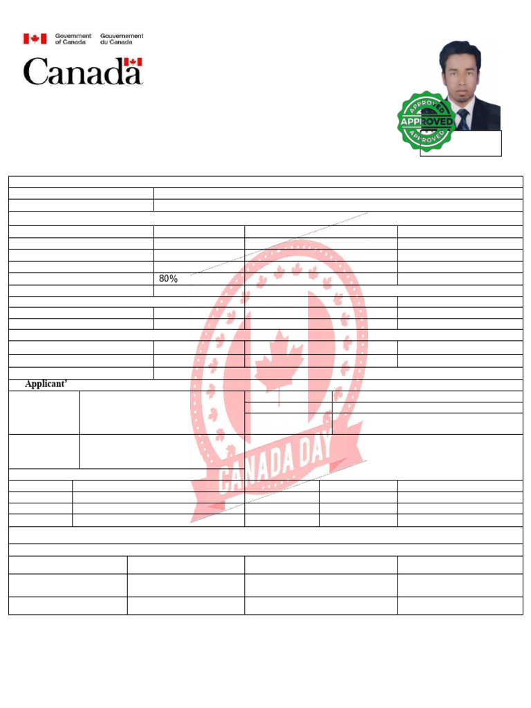 AAA Visa Application Form | PDF | Travel Visa | Passport