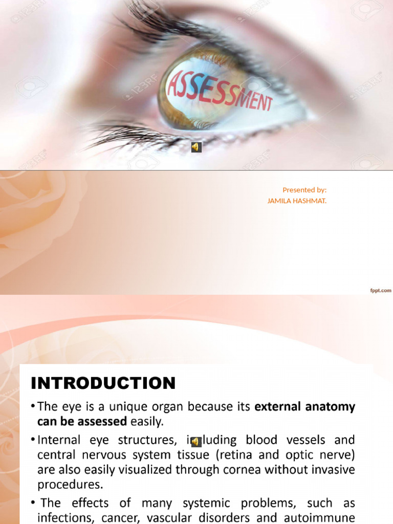 12th Lecture Assessment of Eyes | PDF | Retina | Foreign Language Studies