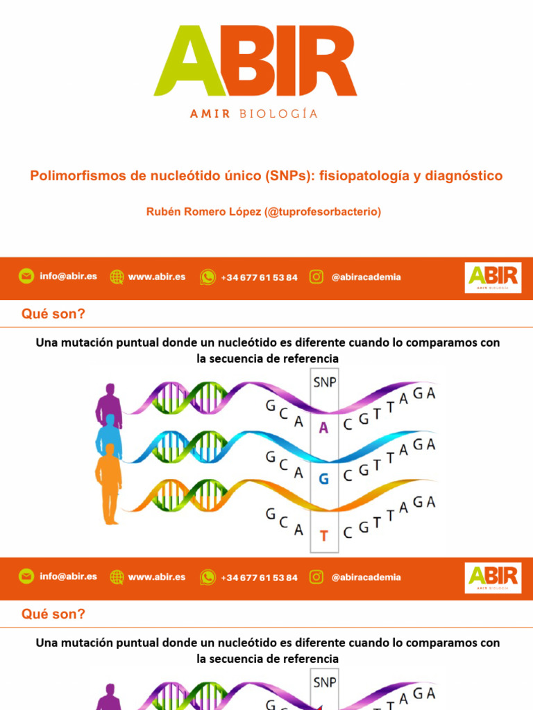 Polimorfismos de Nucleotido Único ABIR | PDF