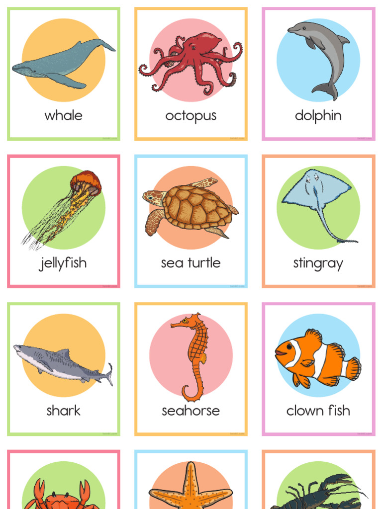 Color Ocean Animal Matching Game | PDF | Home & Garden