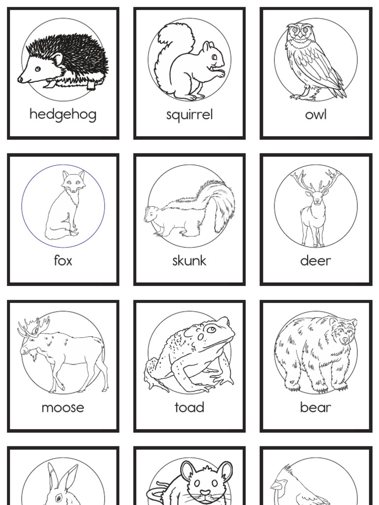 BW Woodland Animal Matching Game | PDF
