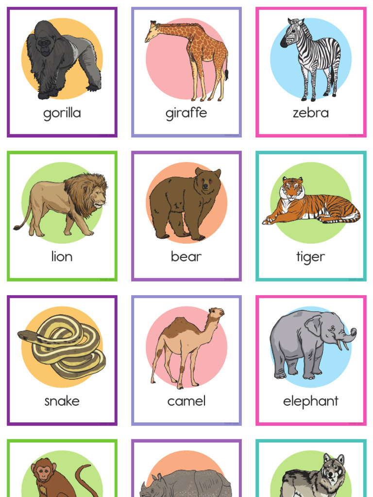 Color Zoo Animal Matching Game | PDF