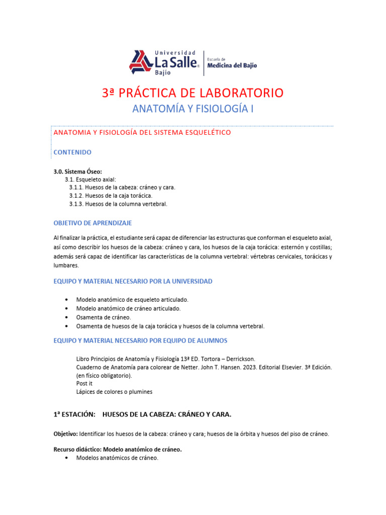 3a Práctica de Laboratorio Esqueleto Axial | PDF | Esqueleto | Ciencias sociales