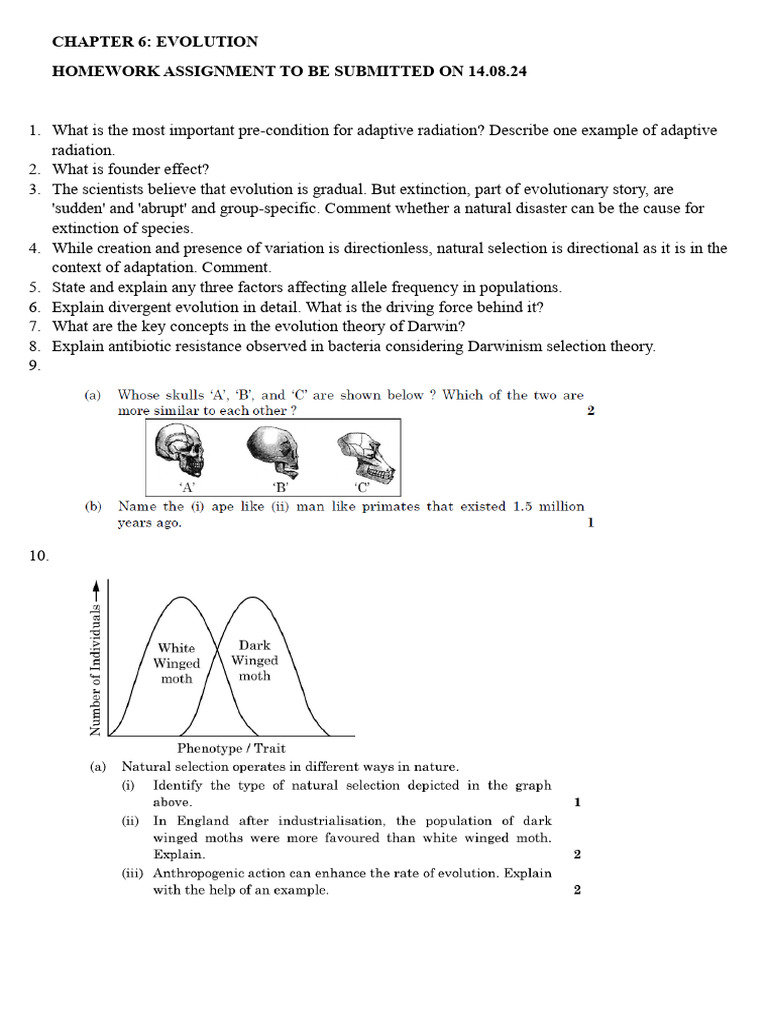 Chapter 6 Evolution | PDF