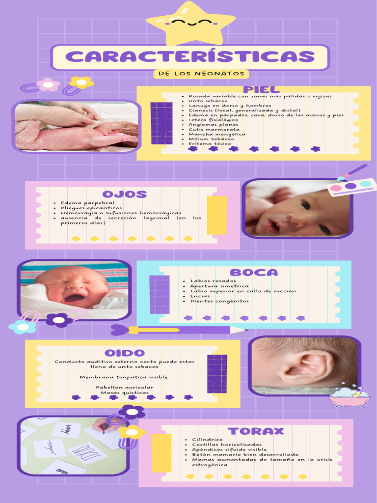 Infografía neonatos | PDF