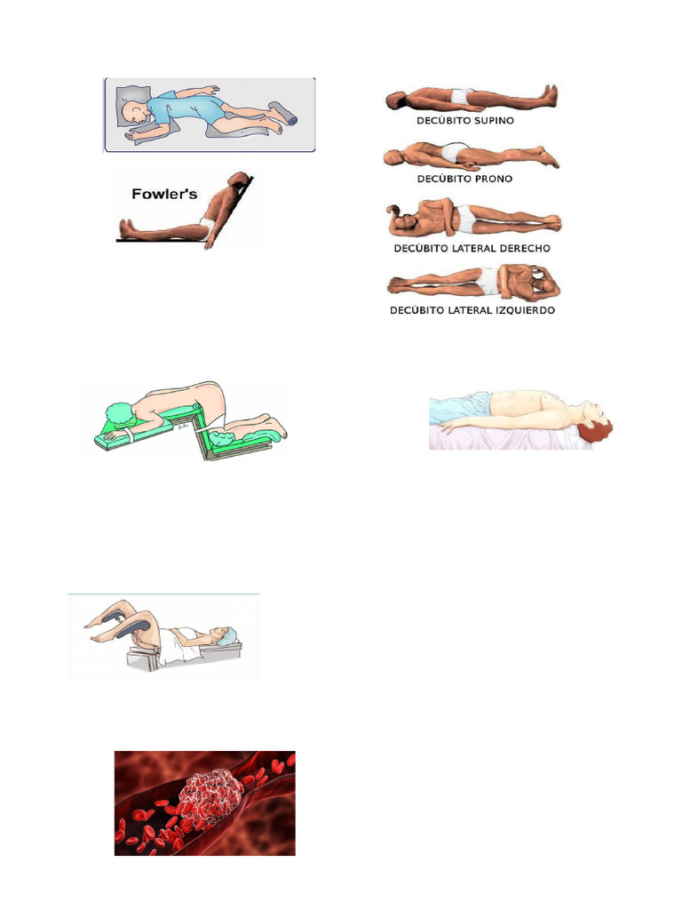 Posiciones Anatomicas | PDF
