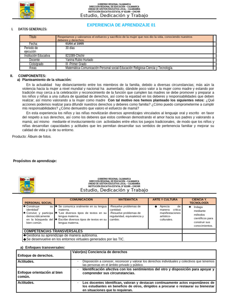 Experiencia de Aprendizaje 1- 2024[1] | PDF