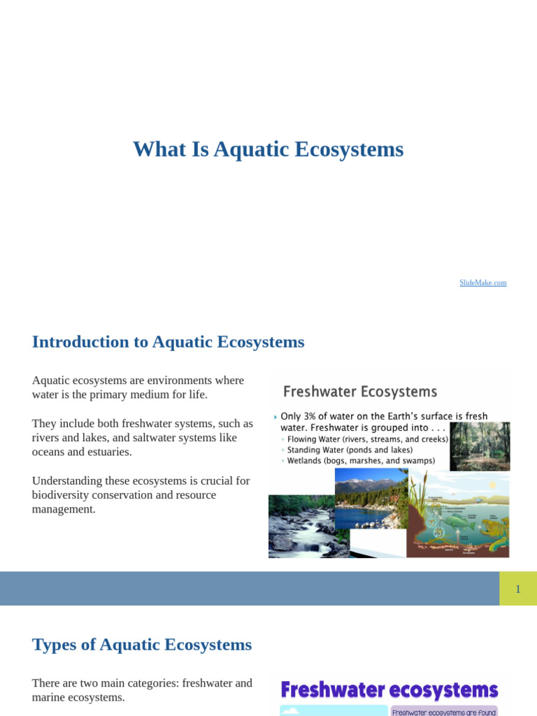 What Is Aquatic Ecosystems | PDF