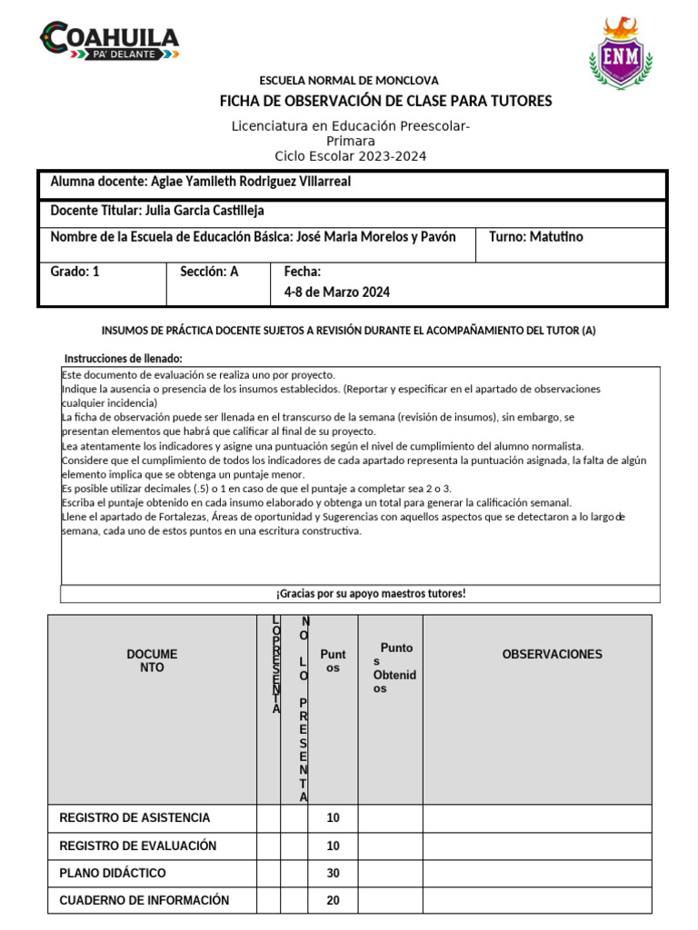 FICHA DE OBS. TUTORES | PDF