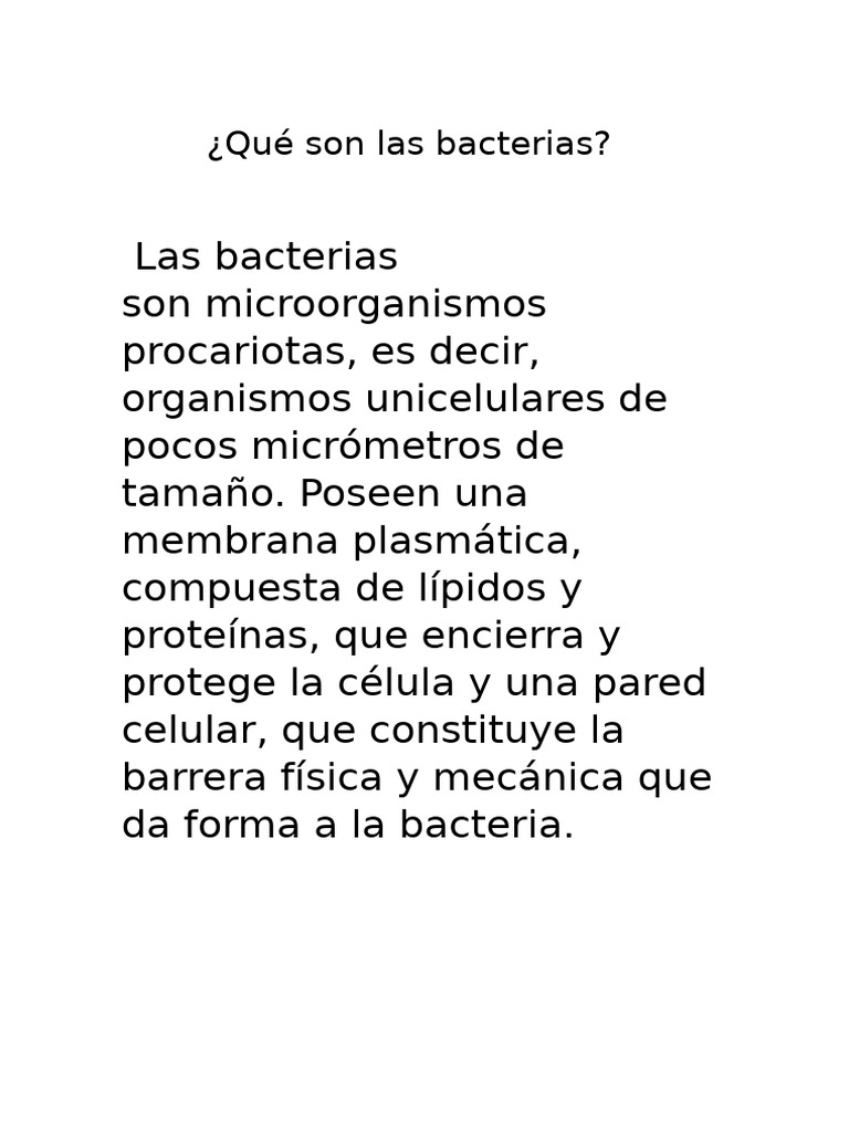Qué Son Las Bacterias | PDF