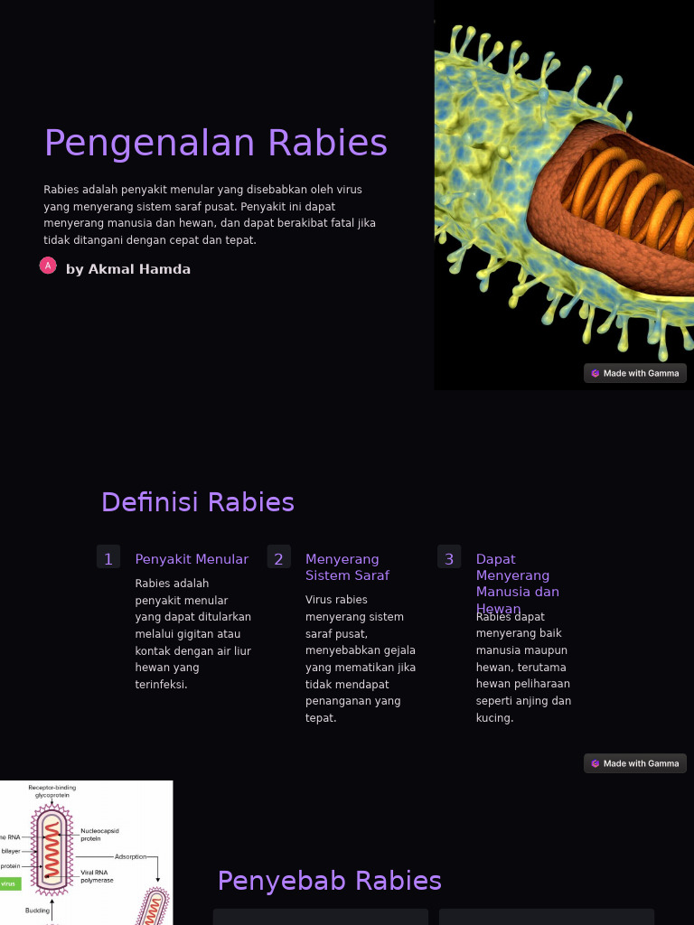 Pengenalan-Rabies (1) PPT 2 | PDF