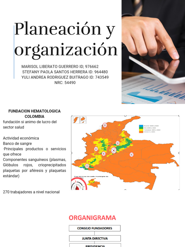 Presentación Planeación y Organización | PDF | Sangre | Economias