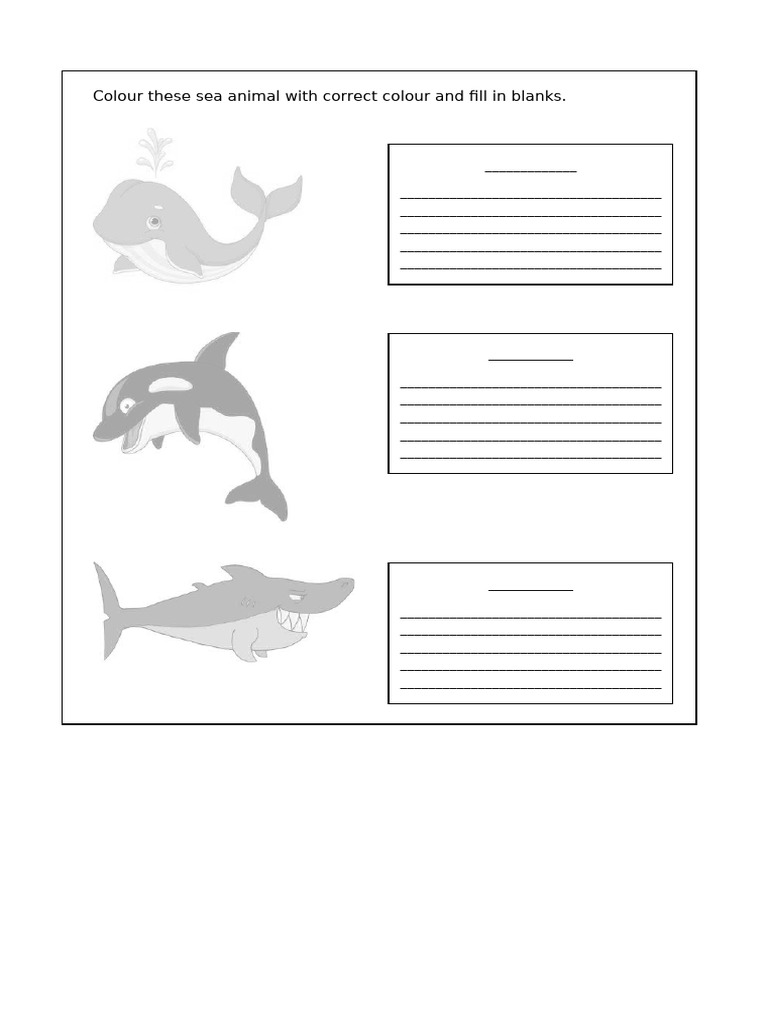 Orca, Shark and Whale | PDF