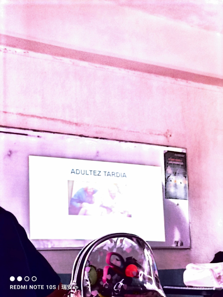 Psicología de Adultez 2R | PDF