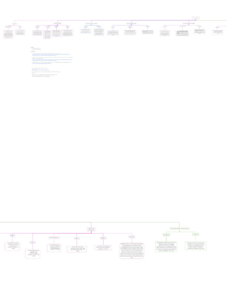 Mapa Conceptual PDF | PDF