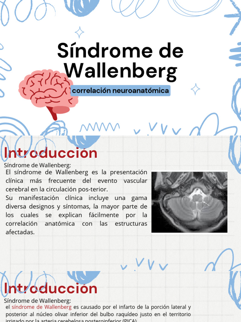 SX de Wallenberg | PDF