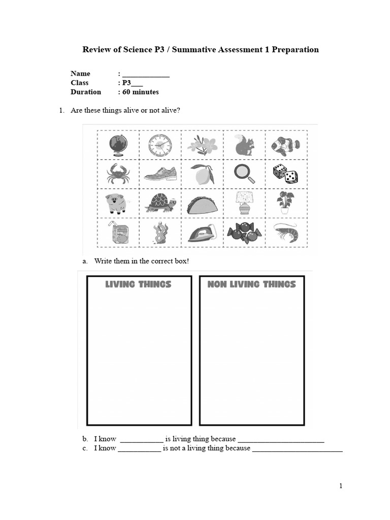 Review Science P3 Sa 1 | PDF