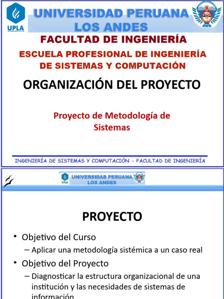 1 - Organización Del Proyecto | PDF