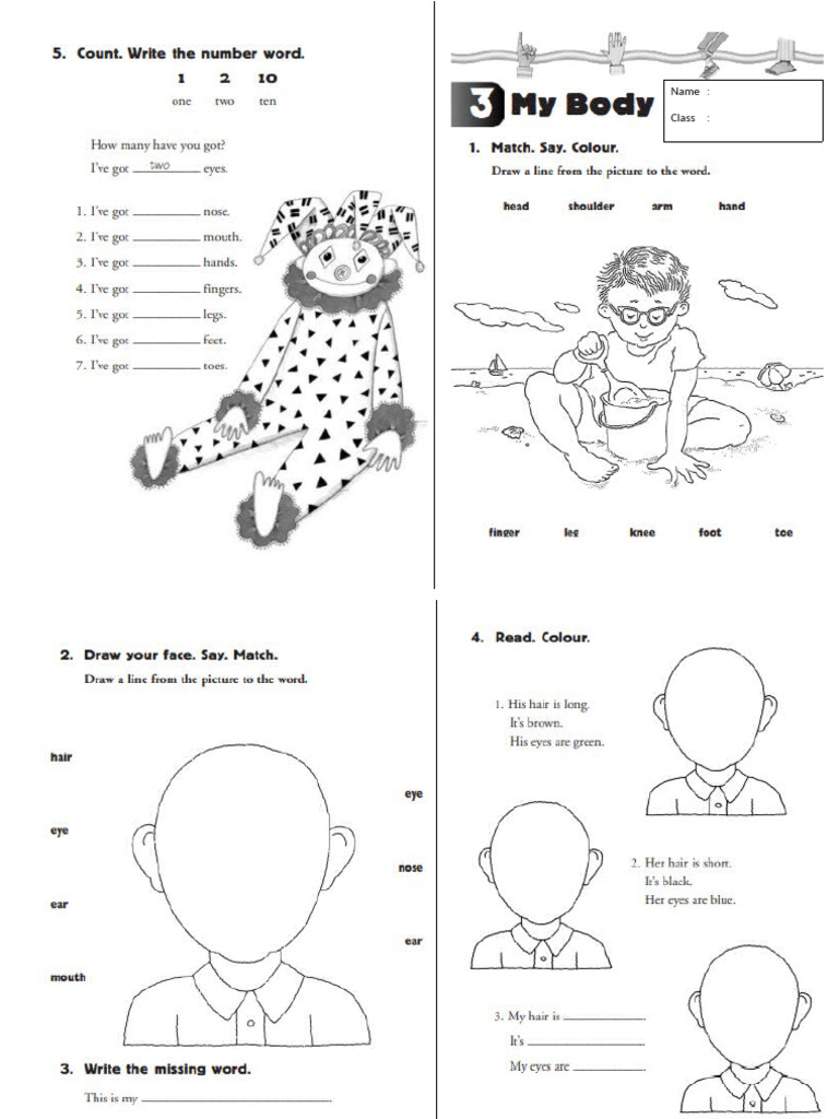 WORKSHEET My Body Grade I | PDF