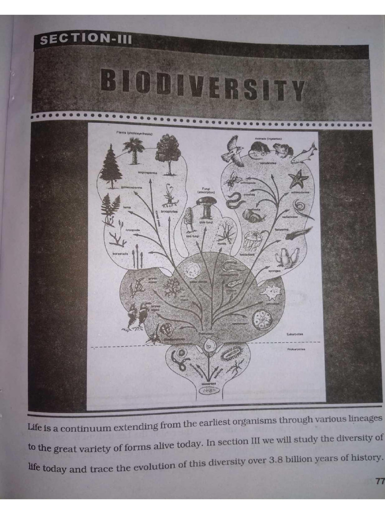 Chapter 5 Sindh Board Biology Class 11th Book | PDF