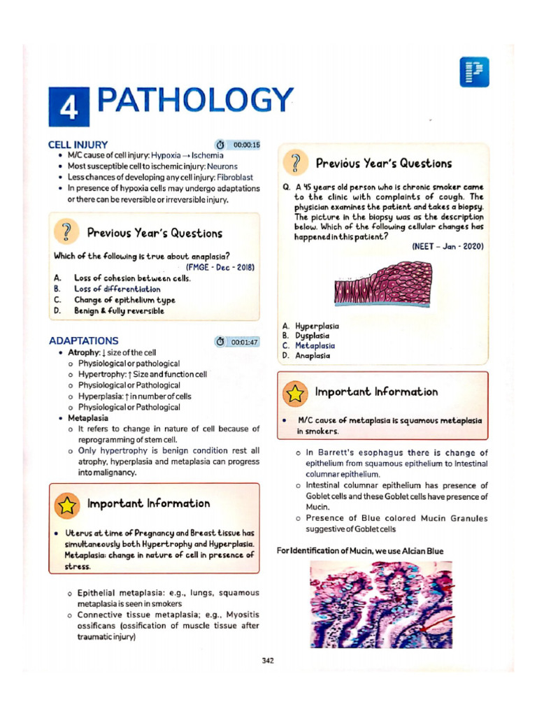 Pathology RR 3.0 | PDF