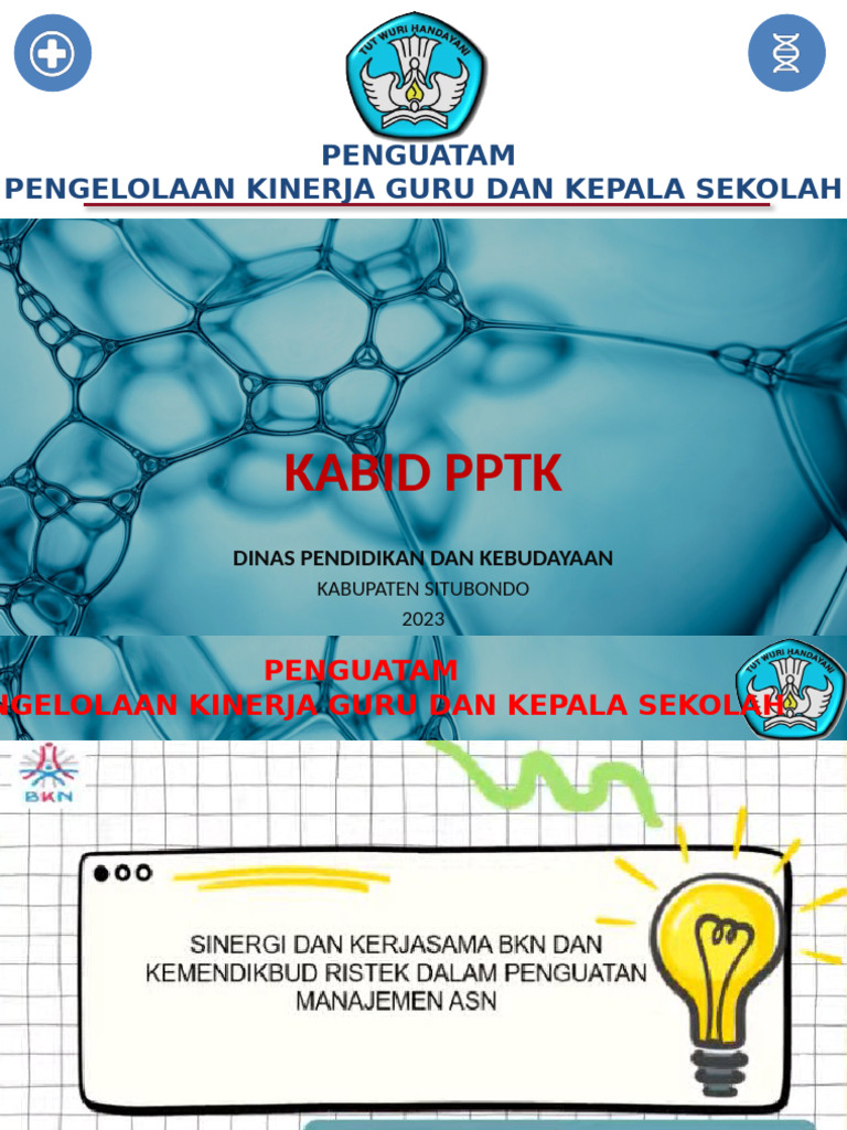 Materi SKP PMM 2024 | PDF