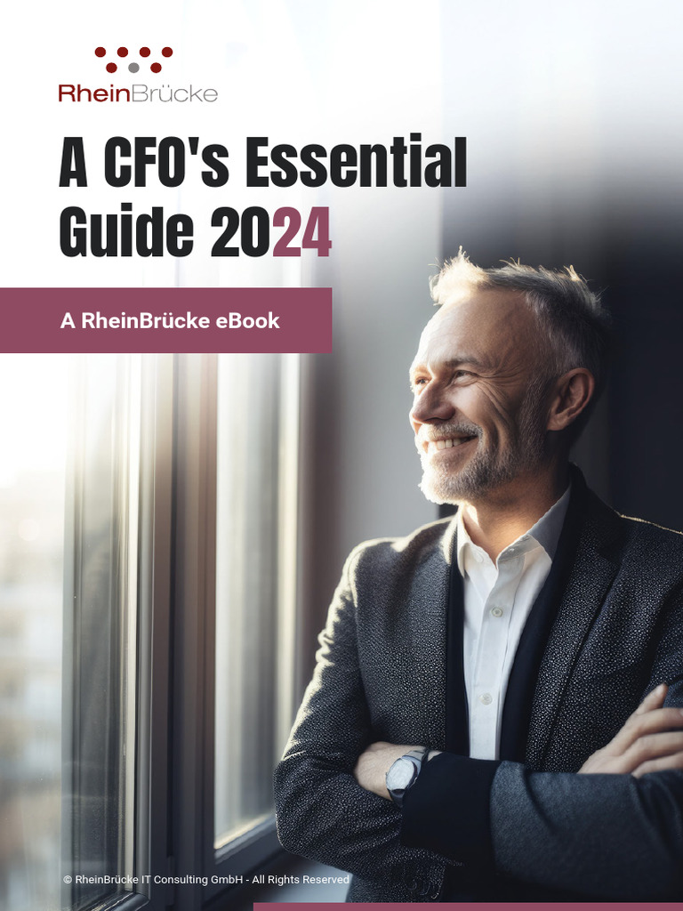 CFO-Guide-2024 | PDF
