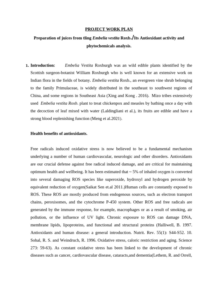 Project Work Plan | PDF