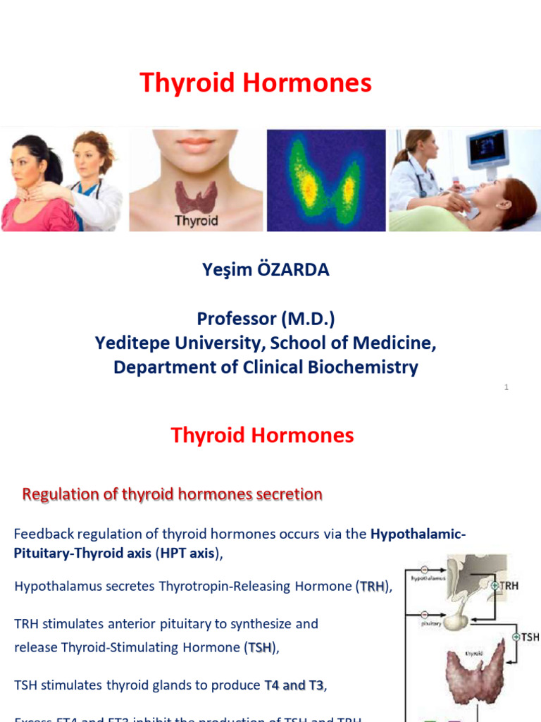 Thyroid Hormones | PDF