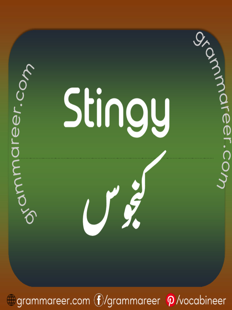 Random-Vocabulary-set-4-grammareer.com_ | PDF | Social Science | Wellness