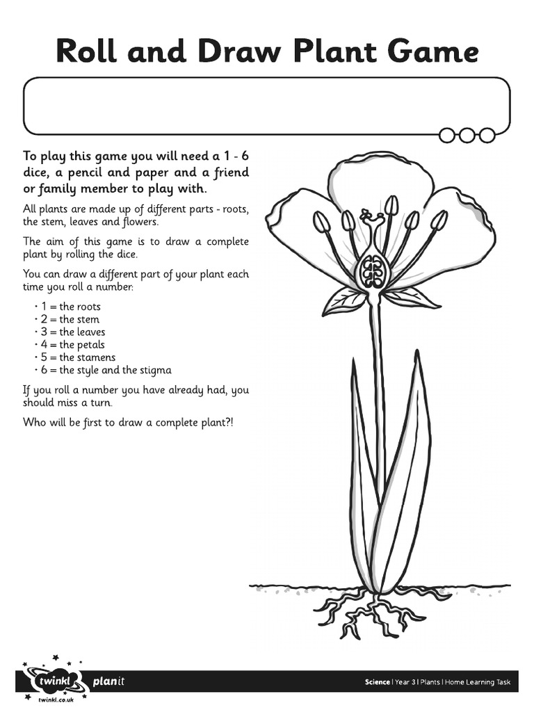 Activity Sheet Roll and Draw Plant Game | PDF