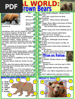 Brown Bear Book | PDF