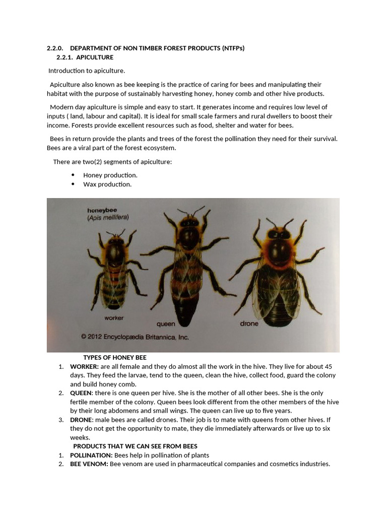 2.2.0. Department of Non Timber Forest Products (NTFPS) 2.2.1 ...