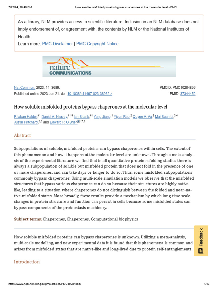 How Soluble Misfolded Proteins Bypass Chaperones at The Molecular Level ...