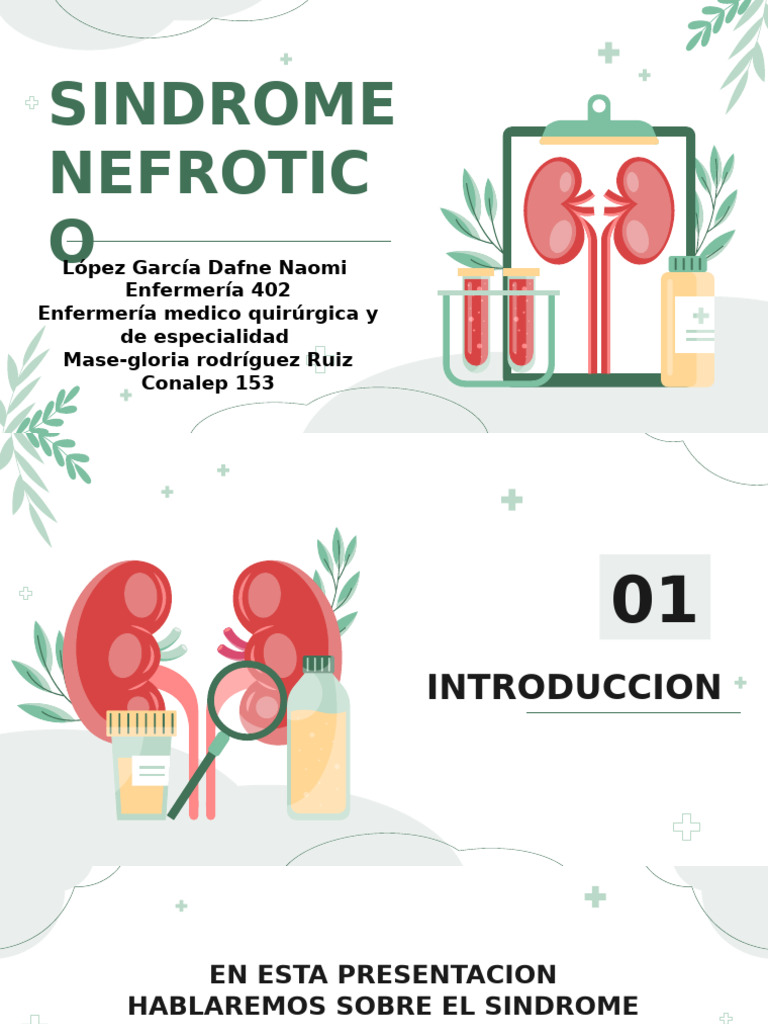 Sindrome Nefrotic O | PDF