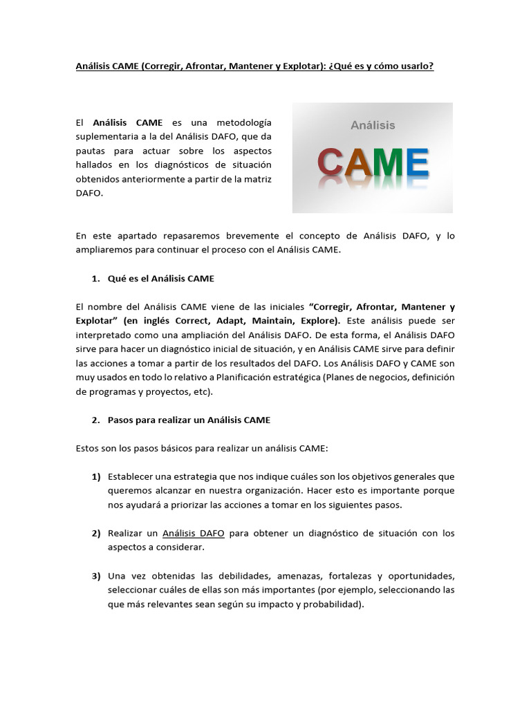 1º Análisis CAME | PDF