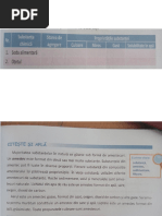 Foaie de Titlu | PDF