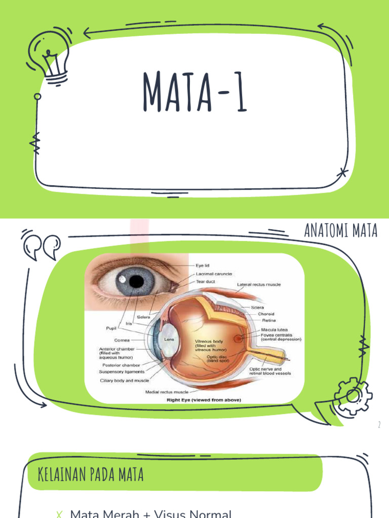 MATA | PDF