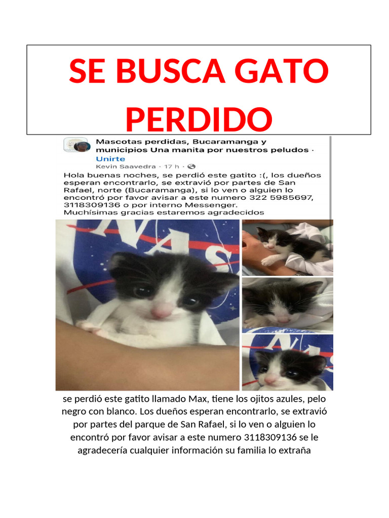Se Busca | PDF