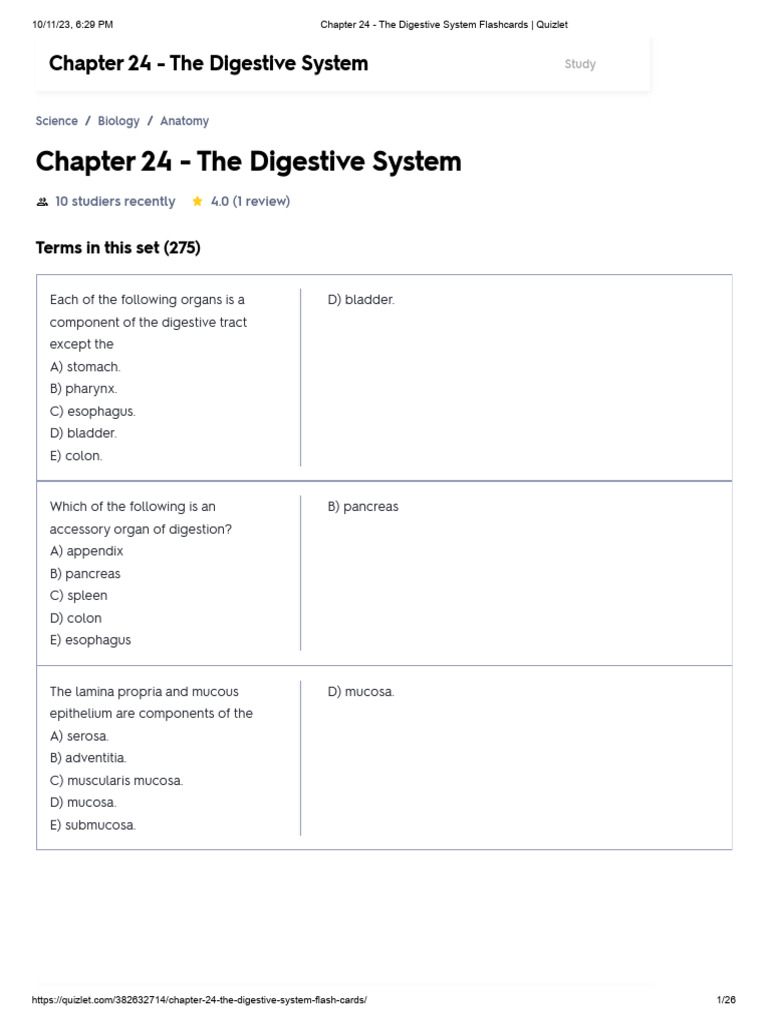 Chapter 24 The Digestive System Flashcards - Quizlet | PDF