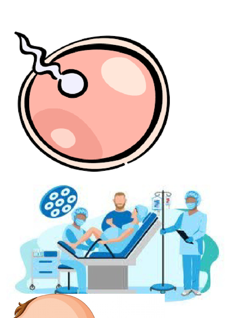 Human Cycle Shit | PDF