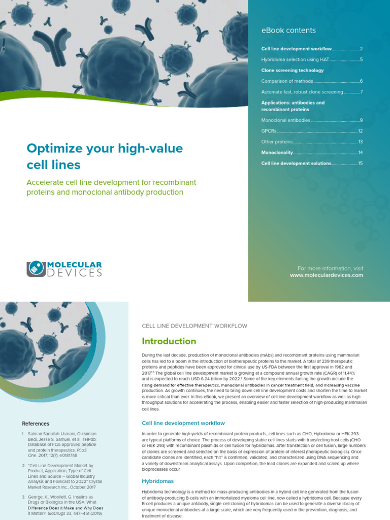 Cell Line Development | PDF