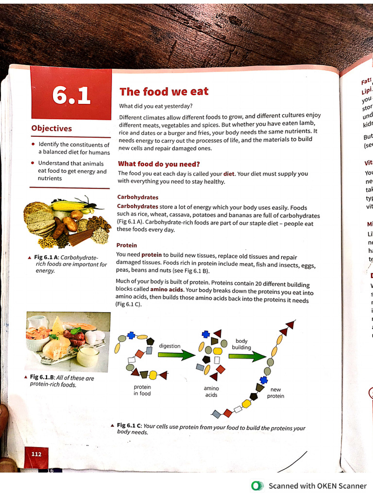 Chapter 6 Biology Ib Book Scan The Food We Eat | PDF